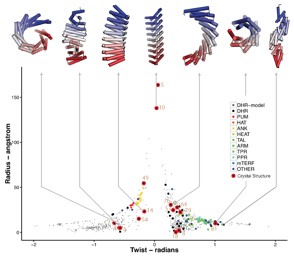 Exploring the repeat protein universe through computational protein ...