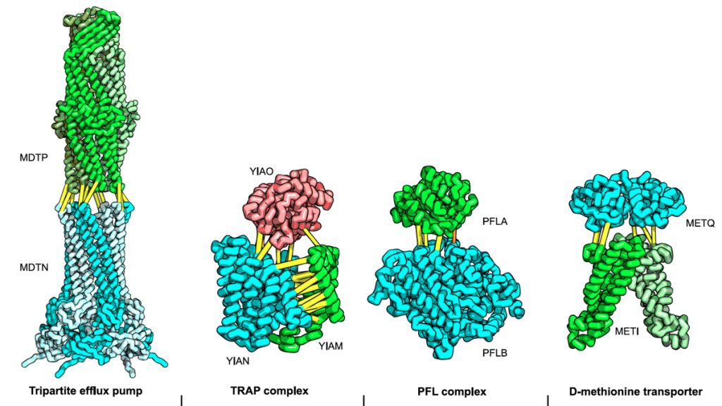 Robust and accurate prediction of residue-residue interactions across ...