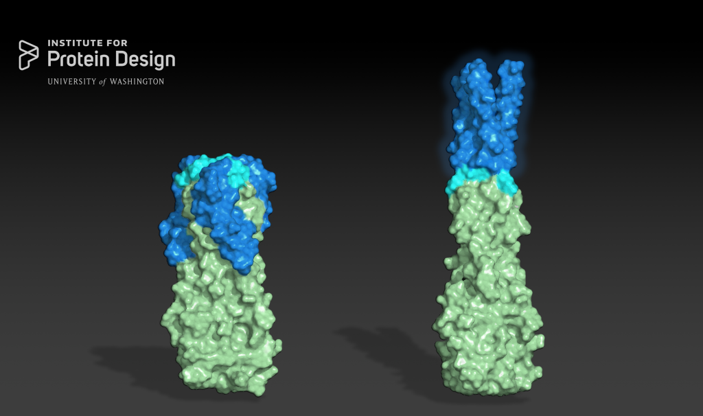 Designing shape-shifting proteins • Baker Lab Designing shape-shifting proteins • Baker Lab