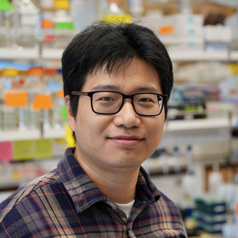 Designing protein crystals with sub-nanometer accuracy • Baker Lab