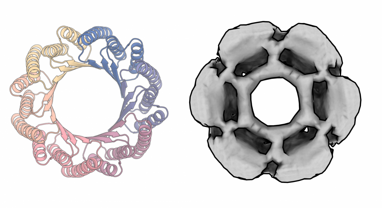 A diffusion model for protein design – Baker Lab A diffusion model for protein design – Baker Lab