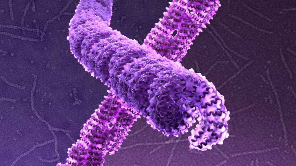 Silk, Wool, and Beyond: AI-Driven Design of Custom Protein Fibers ...