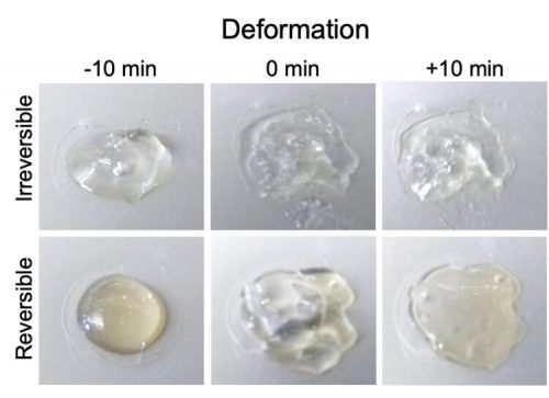 Designing hydrogels with the DeForest Lab • Baker Lab
